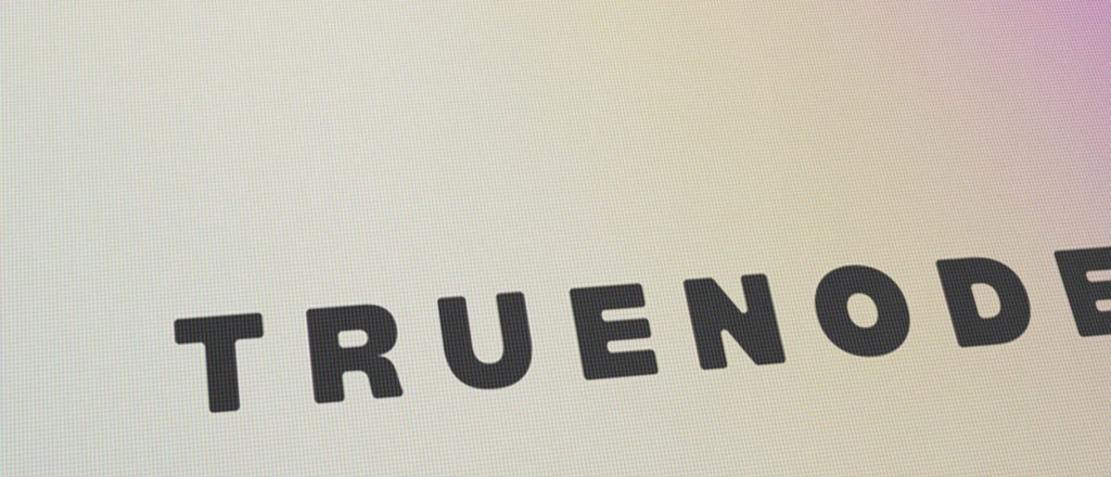 TrueNode - Meet TrueNode: Scanning a Brainpool and Building a Venture ...